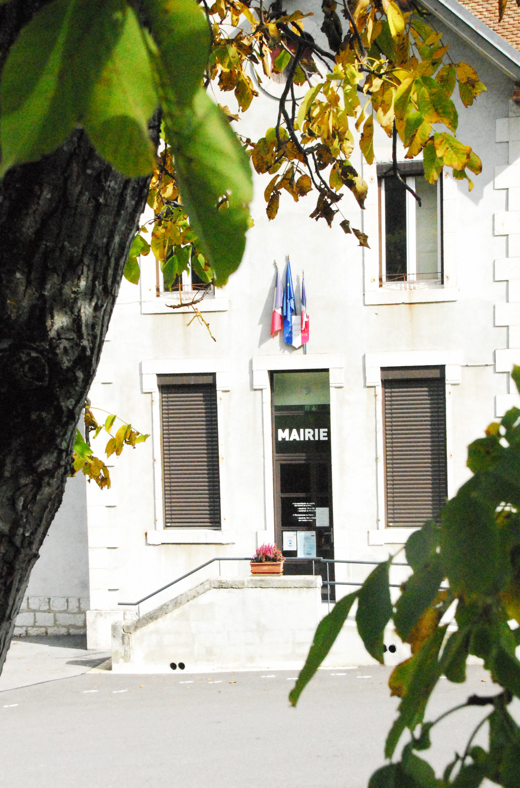 Présentation – Chevrier entre Vuache et Vergers